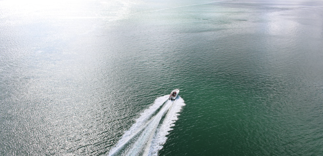 Meet the Diesel Bugs: An Invisible Threat in Your Fuel Tank